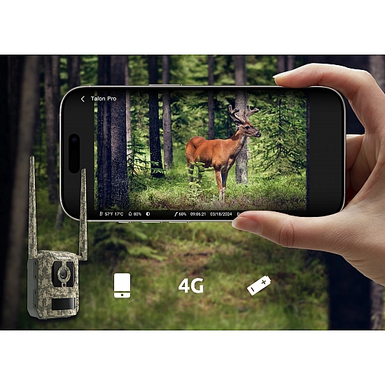 IP Kameras : IP Kameras : Reolink | 4K 4G Cellular Trail ...